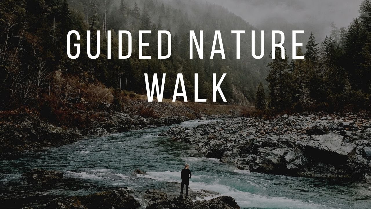 9 Minute Guided Imagery: Nature Walk - YouTube