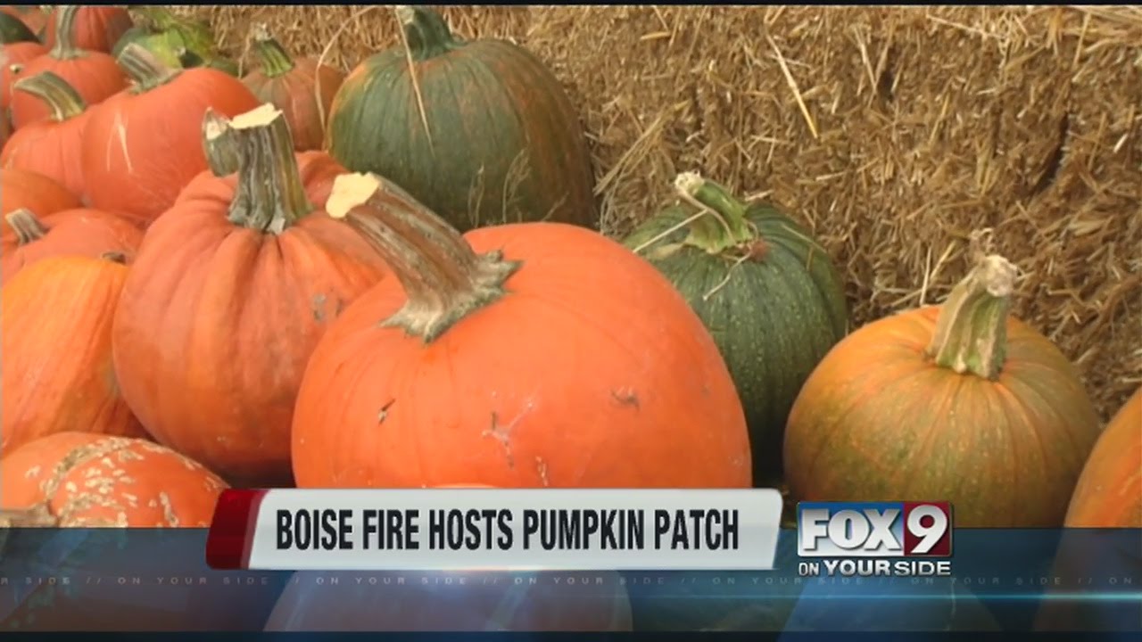 Boise Fire hosts pumpkin patch - YouTube
