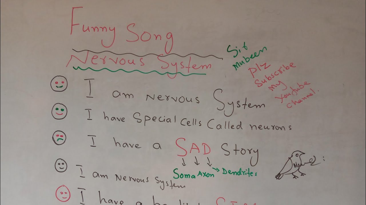 Nervous System Funny Song |Nervous System Funny Song 🤣😂😂 - YouTube