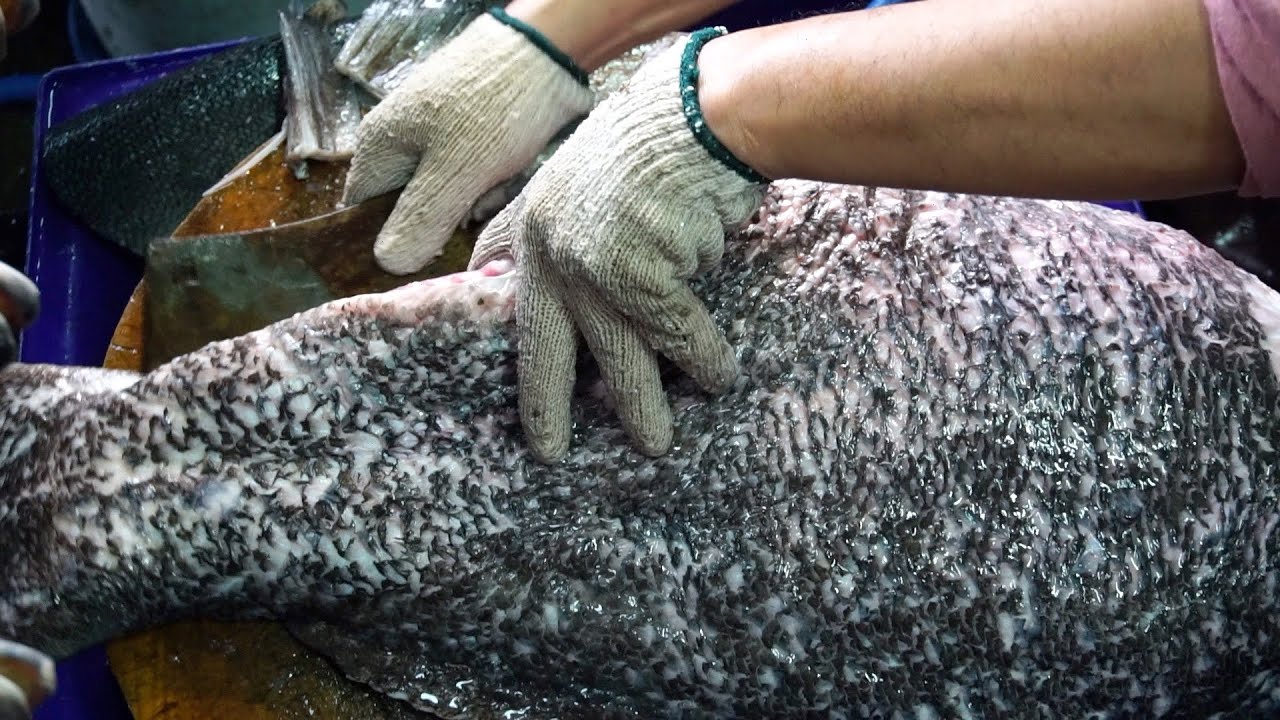 GIANT GOLIATH GROUPER HALF CUTTING SKILLS - Fish Cutting Skills - How ...