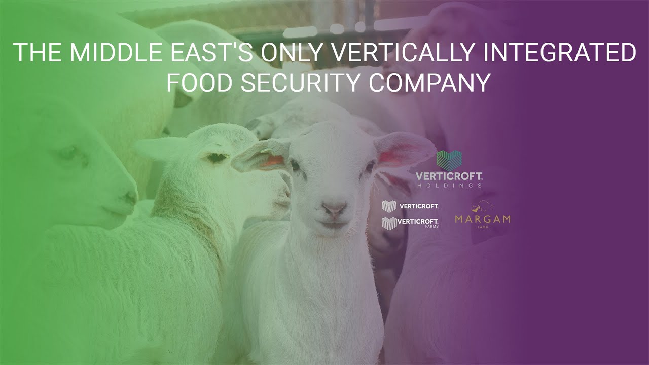 Verticroft Holdings | Food Security | Ryan Singlehurst | Sheep Farming ...