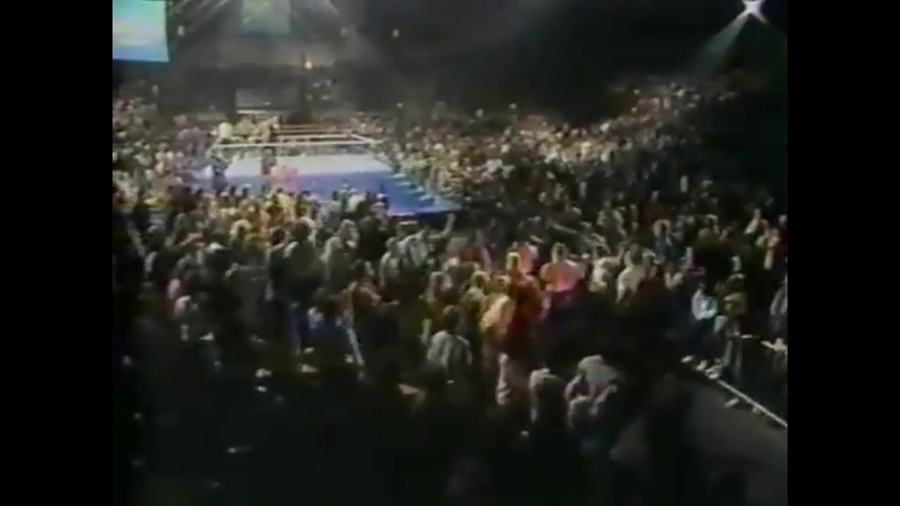 Hart Foundation vs Jobbers Barry Horowitz & Iron Mike Sharpe WWF ...