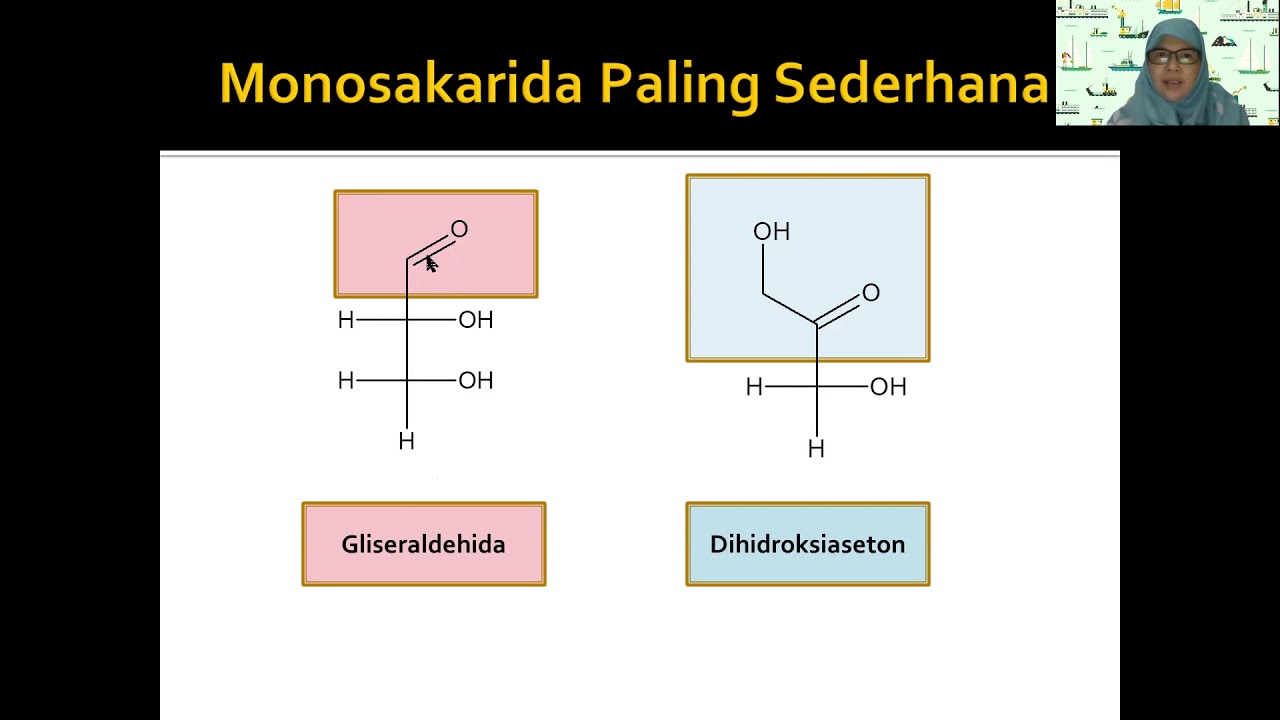 Monosakarida dan Oligosakarida - YouTube