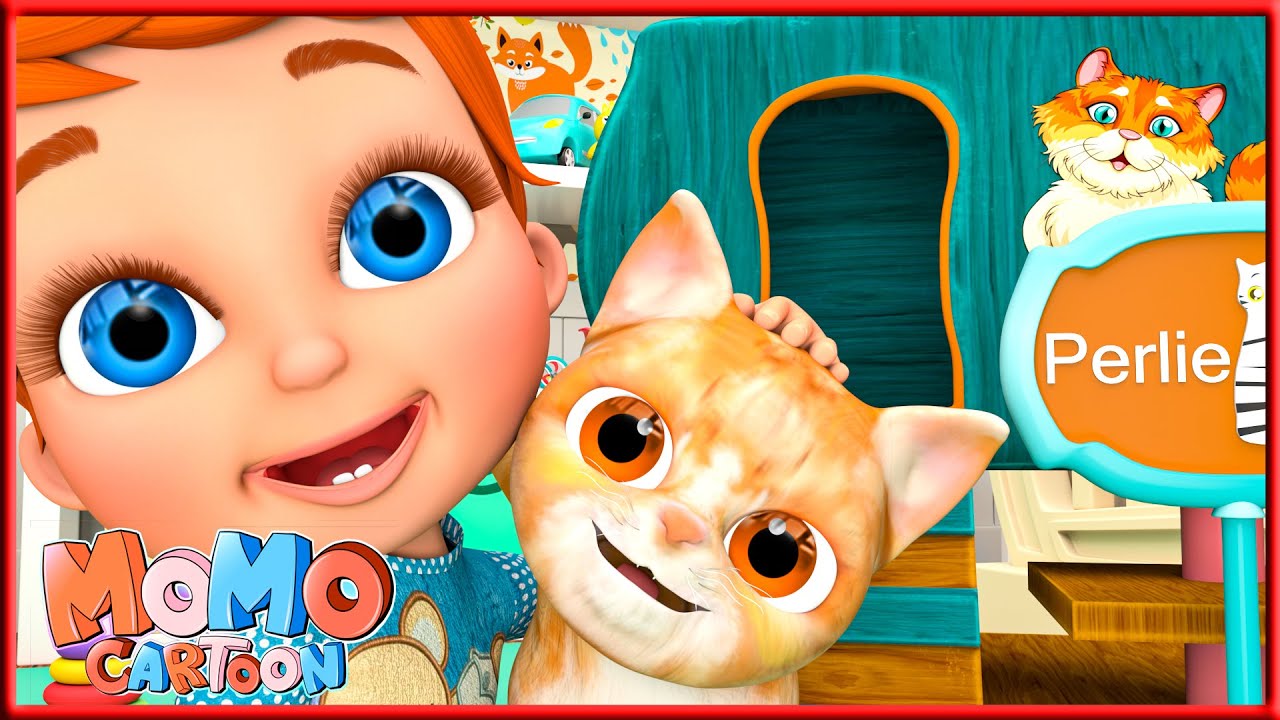 Minou | comptines et chansons pour bébés | Momo Cartoon le Français ...