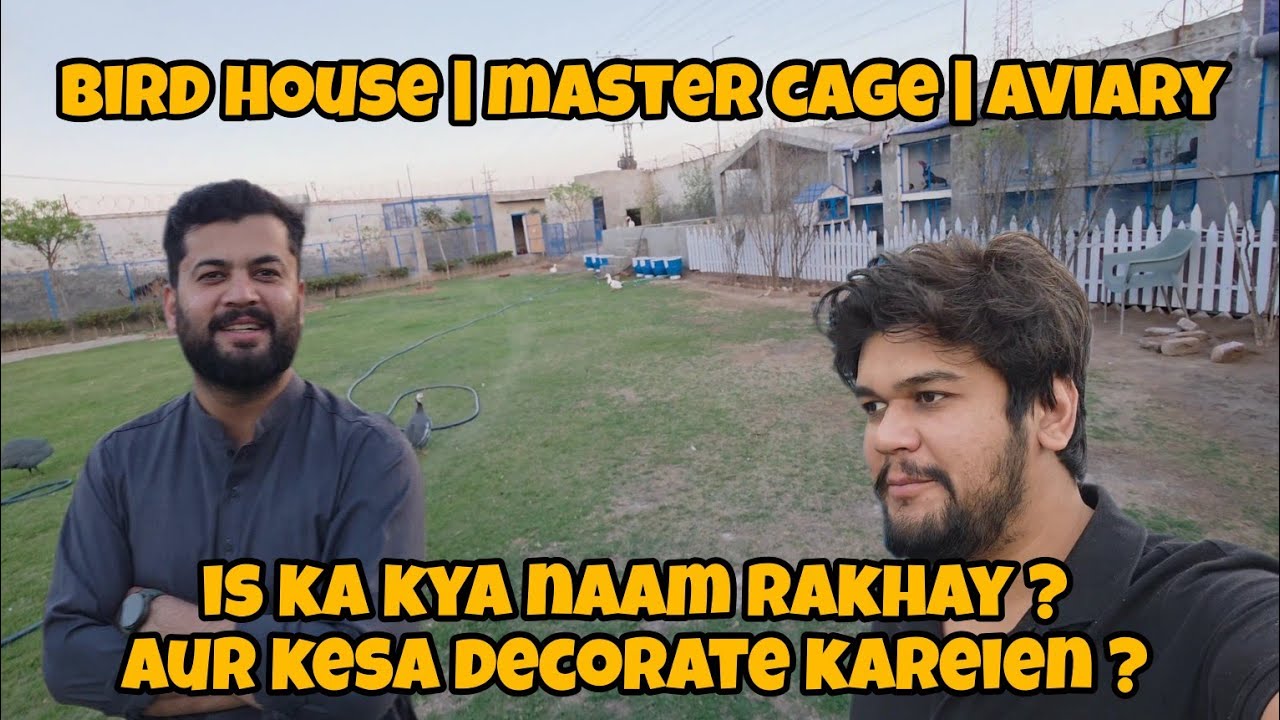 Bird house | Master cage | Aviary | complete | Ab isko kese decorate ...