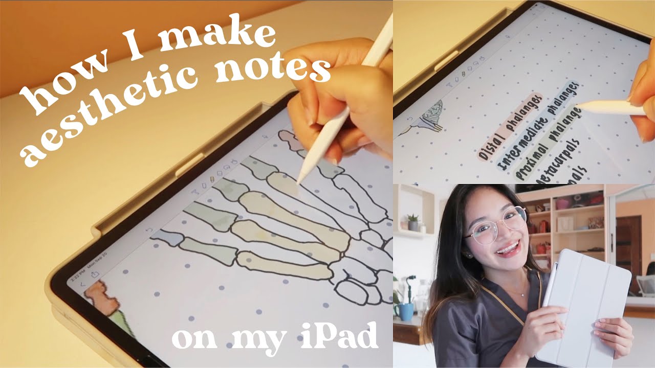 How I Make Aesthetic Notes med School Edition Ft Notability YouTube how-i-make-aesthetic-notes-med-school-edition-ft-notability-youtube