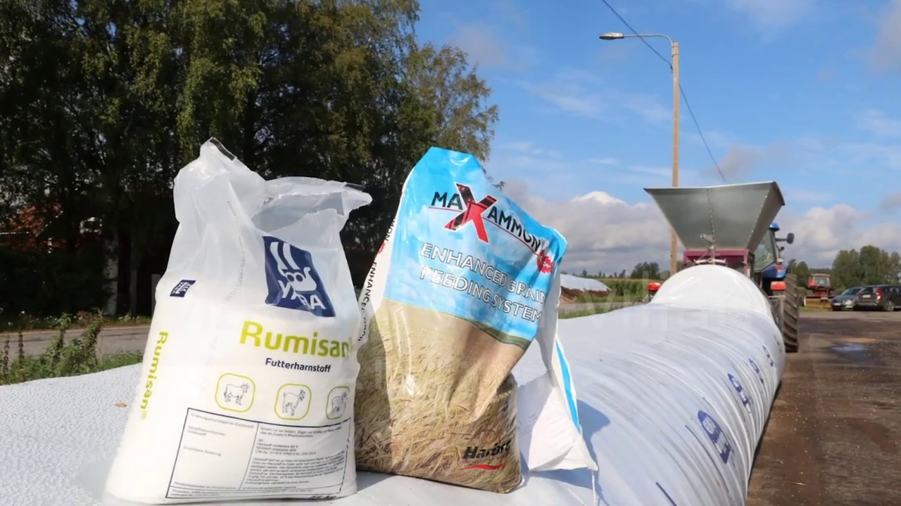 Maxammon-viljan valmistus tuubiin - YouTube