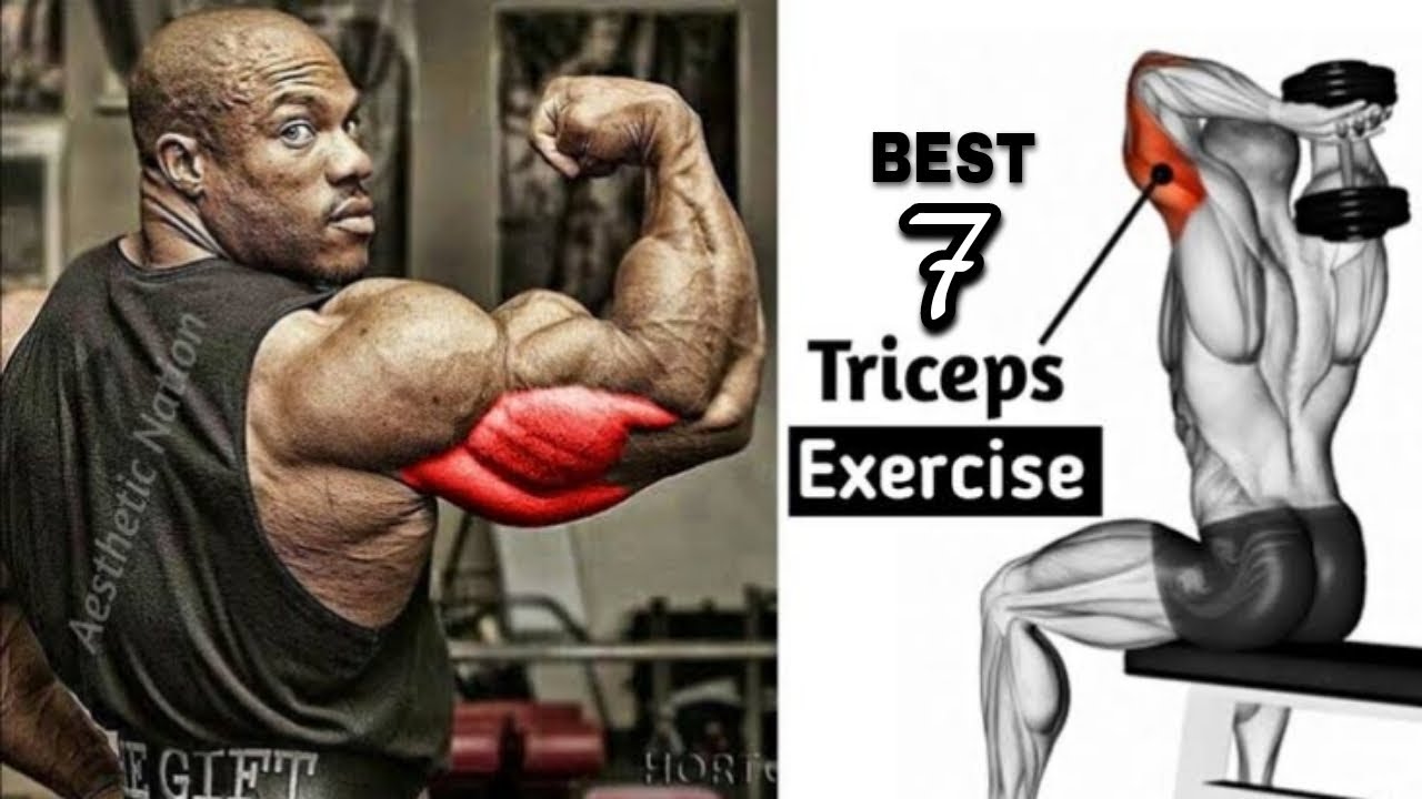 5 BEST Exercises for TRICEPS AT HOME ( QUICK RISALT 💯 ) #triceps - YouTube