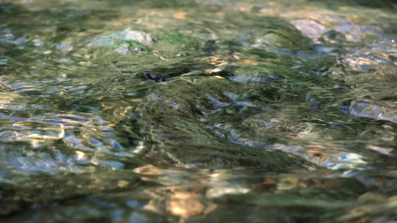 Free Footage River 4K UHD (3840x2160) 25p - YouTube