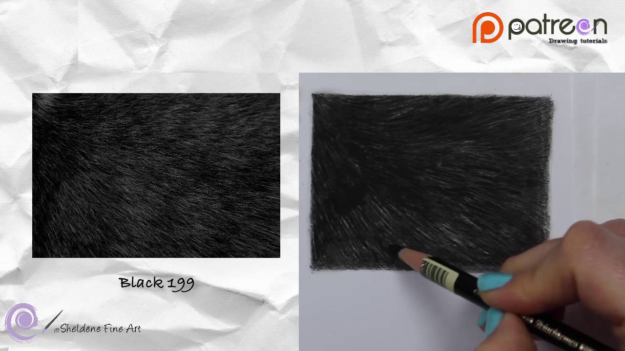TUTORIAL #24 Part 6 - How to draw black fur - Channel Sheldene Fine Art ...