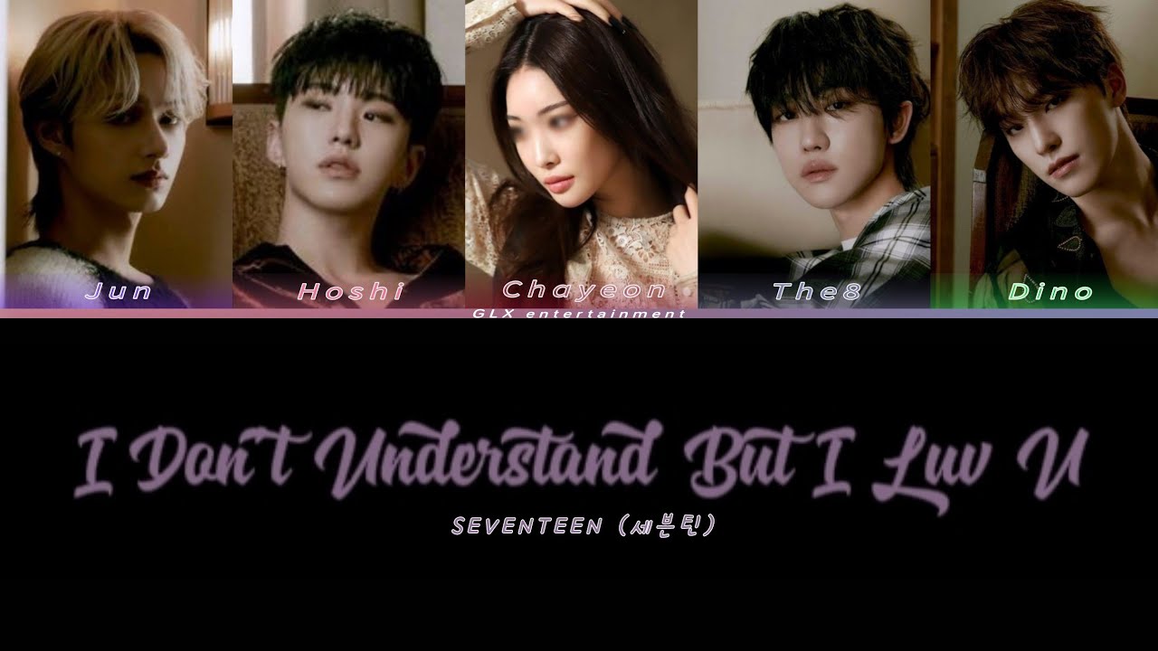 [SEVENTEEN (세븐틴) ] I don't understand but I luv U: Dance line (You as ...