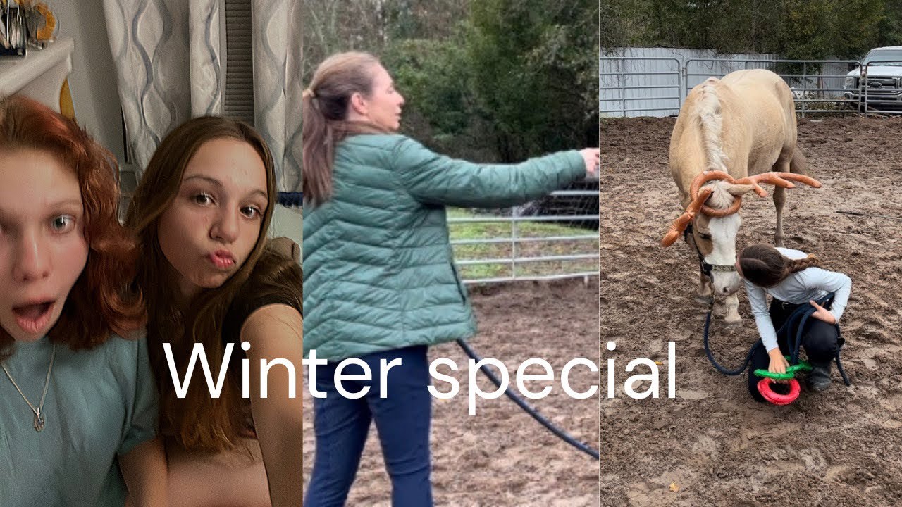 Winter special | Reindeer antlers on Frank | Horse peppermint bobbing ...