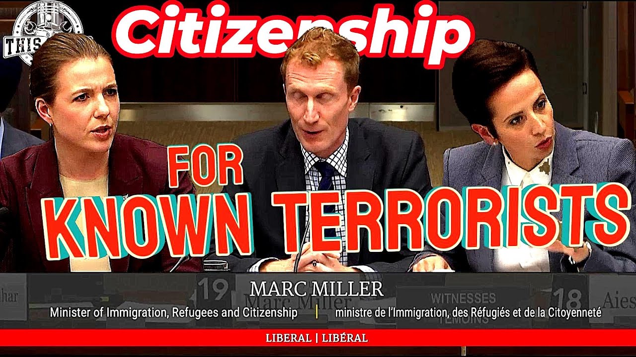 wth is going on - YouTube