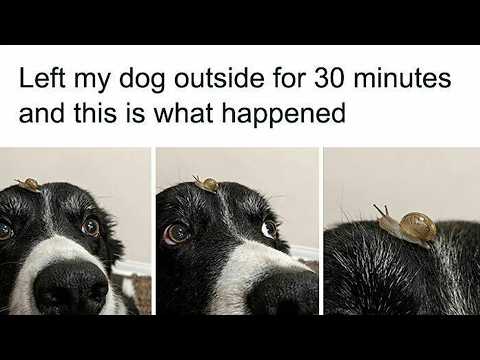 Wholesome Animal Photos That Feel Like a Little Dose of Happiness
