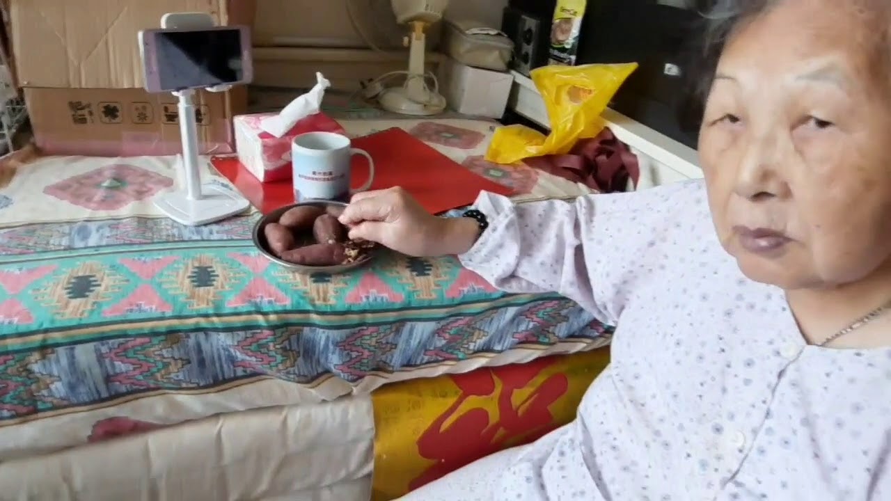 kucing lucu bisa mijiti #mboke lagi capek#libur panto ngurus kucing ...