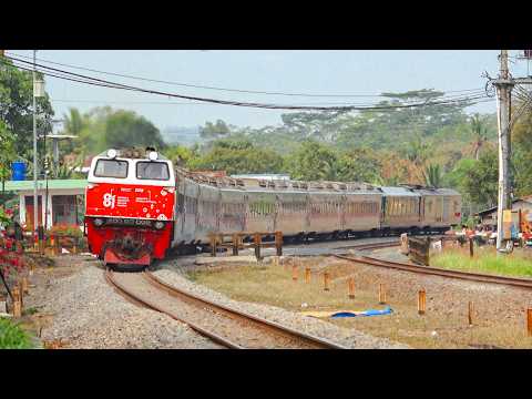 KERETA API PANJANG‼️ MENEMUKAN 27 KERETA API NGEBUT DI PERLINTASAN DAN JALUR LURUS