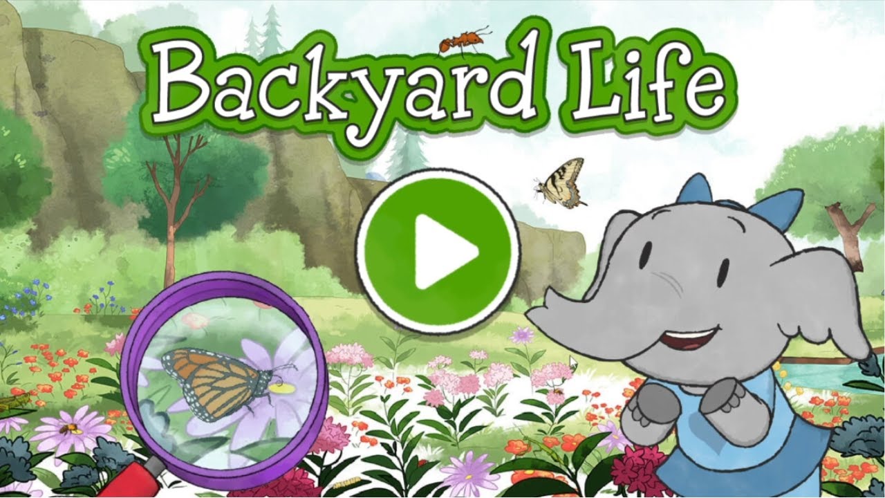 BACKYARD LIFE || PBS KIDS || - YouTube