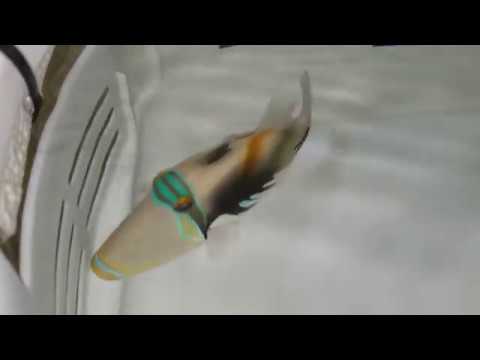 Huma Huma Trigger $159 - Hawaii - YouTube