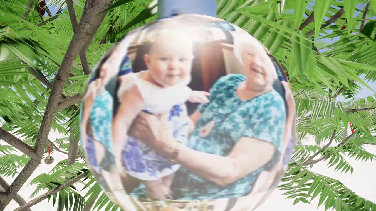 Webb Family Tree 2019 - YouTube