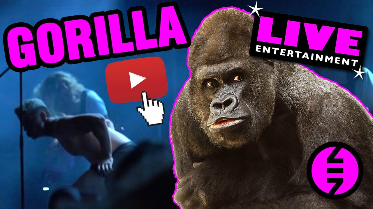 ZE GRAN ZEFT - GORILLA - LIVE @ CLANX FESTIVAL 2019 - YouTube