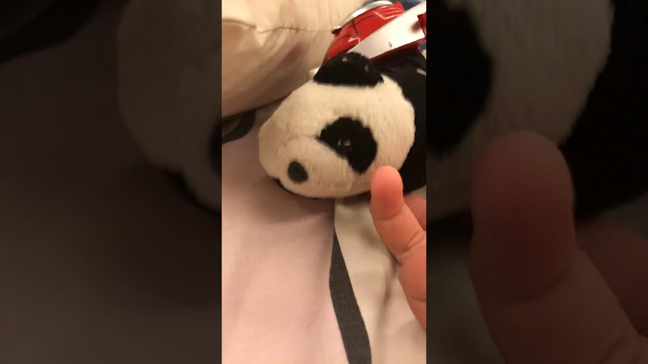 Spider panda - YouTube