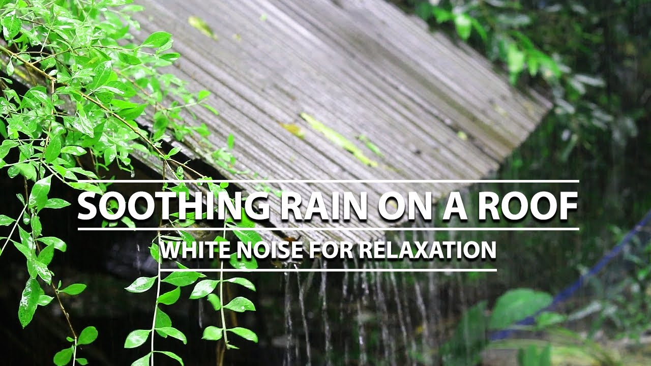 Enjoy The Sound Of Soothing Rain On A Metal Roof - Rain Sound to help ...