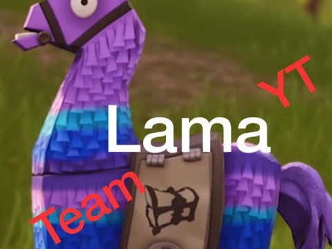Livestream von Team Lama_YT - YouTube