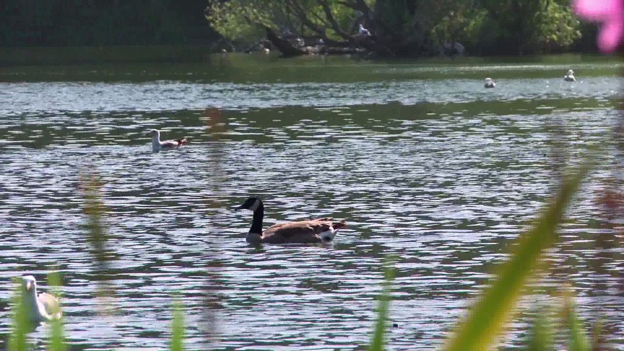 ghjkl. njmklo mklop - YouTube