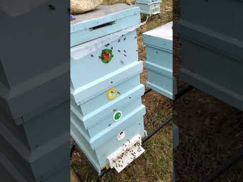 yuvarlak uçuş deliği, katlara monte ettiğimiz uçuş deliğinin faydaları.