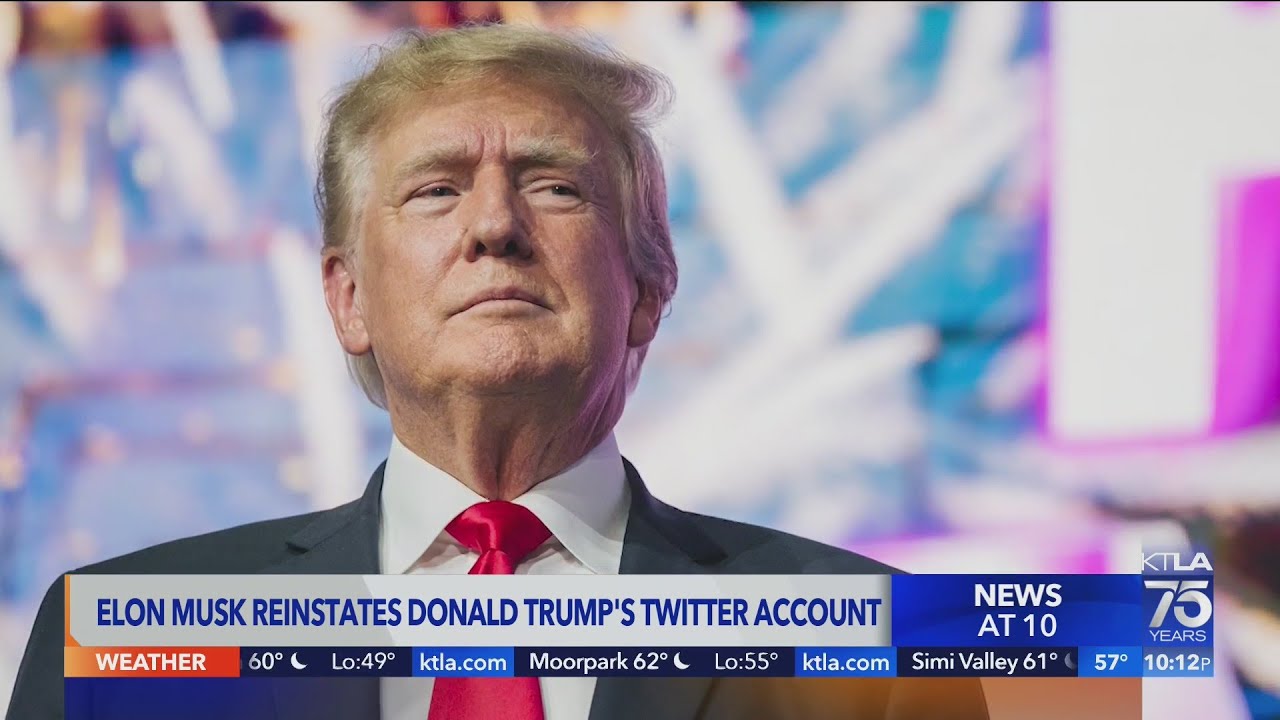 Elon Musk reinstates Donald Trump's Twitter account following poll ...