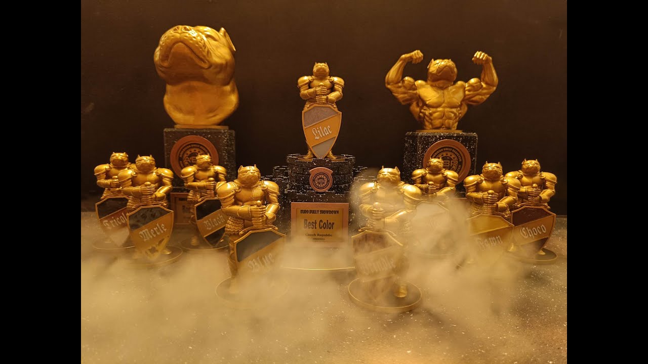 Euro Bully Showdown Trophies part 1 - YouTube