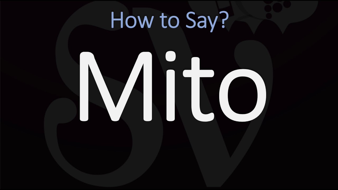 How to Pronounce Mito? (CORRECTLY) - YouTube