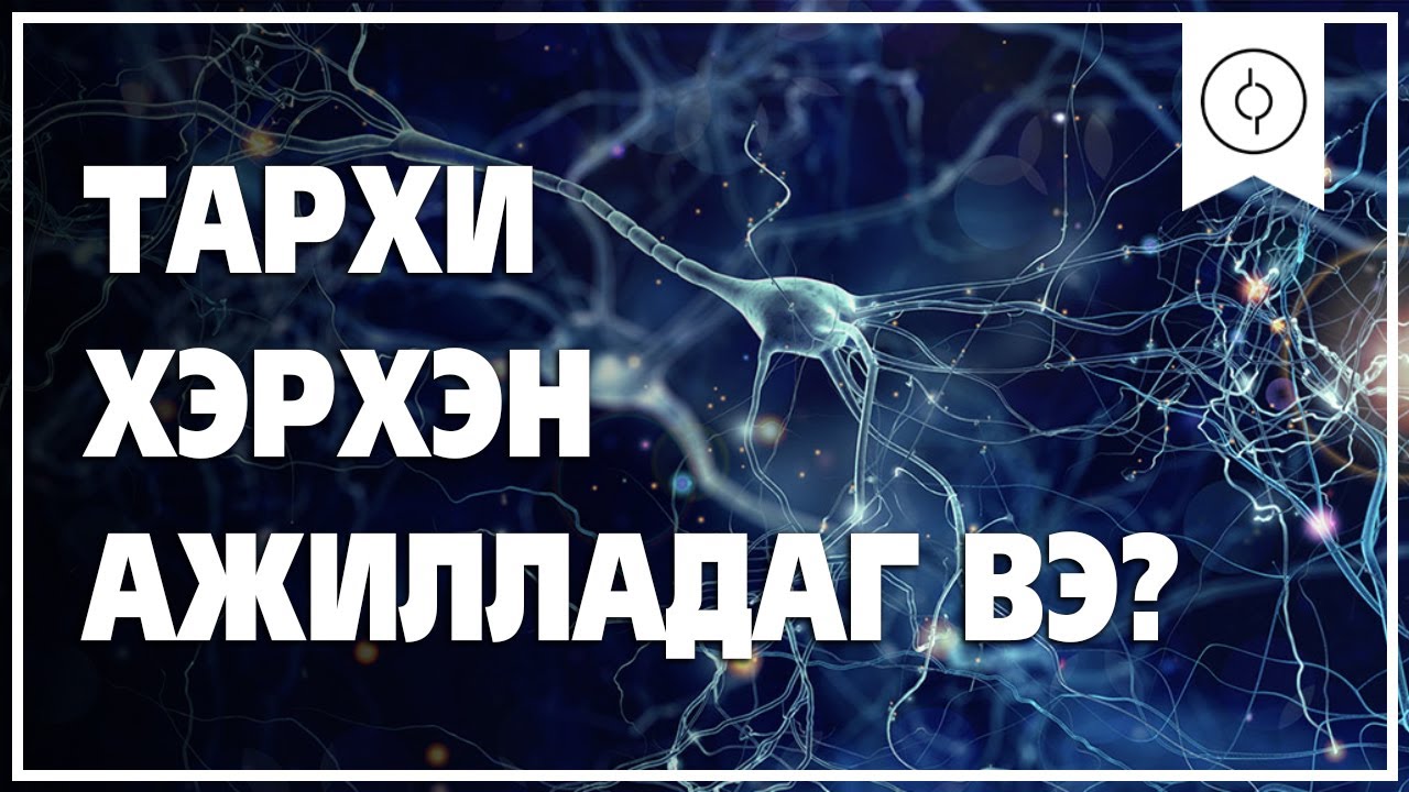 Тархи хэрхэн ажилладаг вэ Brainandmind S01ep02 Youtube