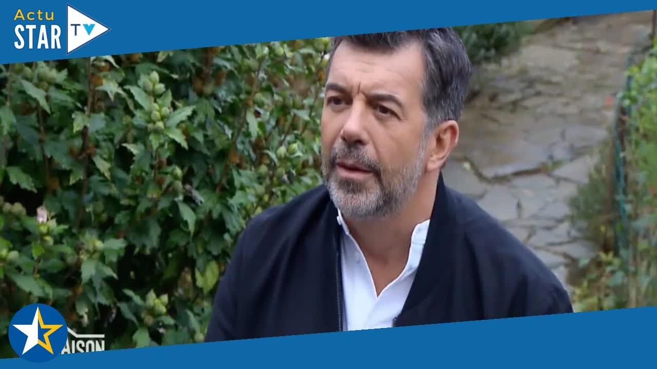 "Aïe aïe aïe" : après son passage aux urgences, Stéphane Plaza donne ...