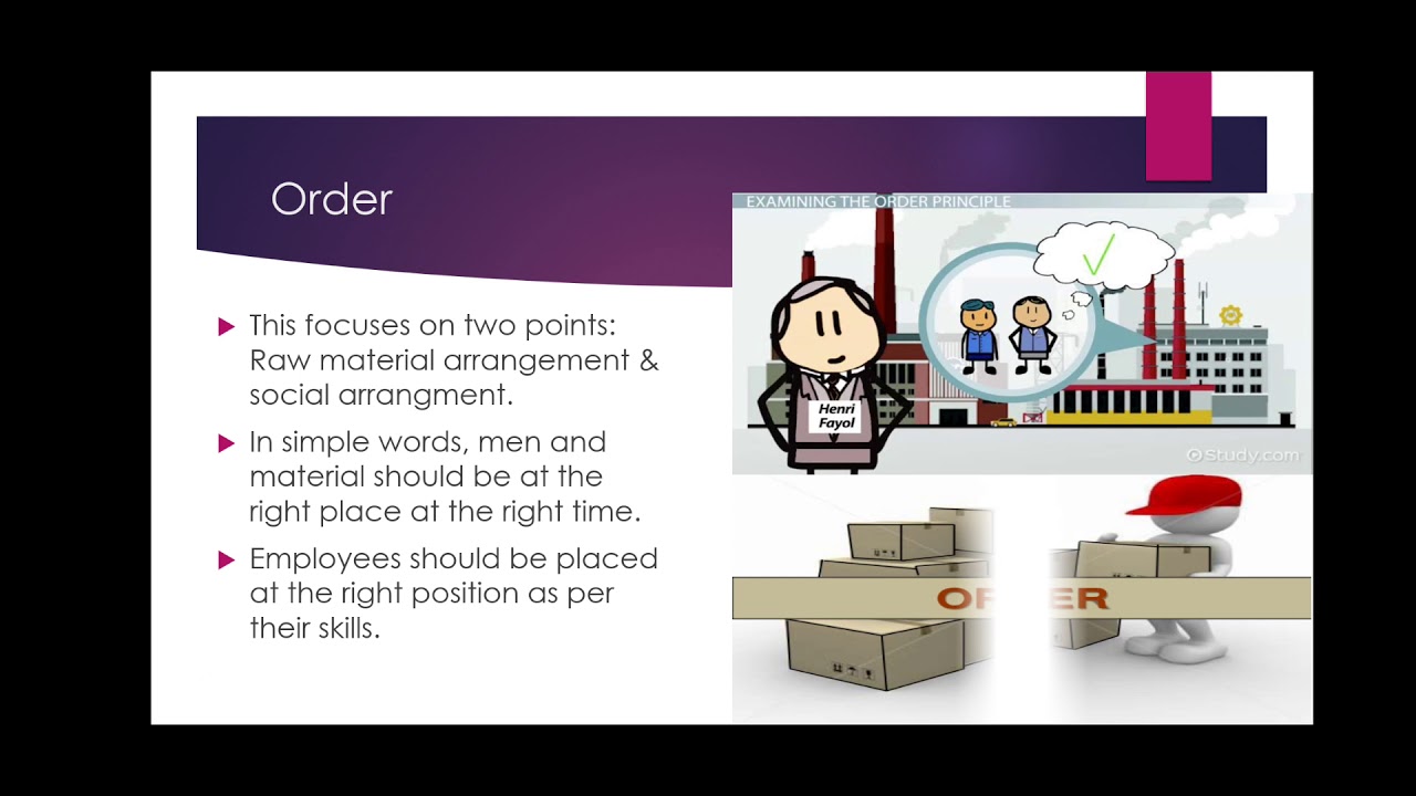 Principle Of Order In Management