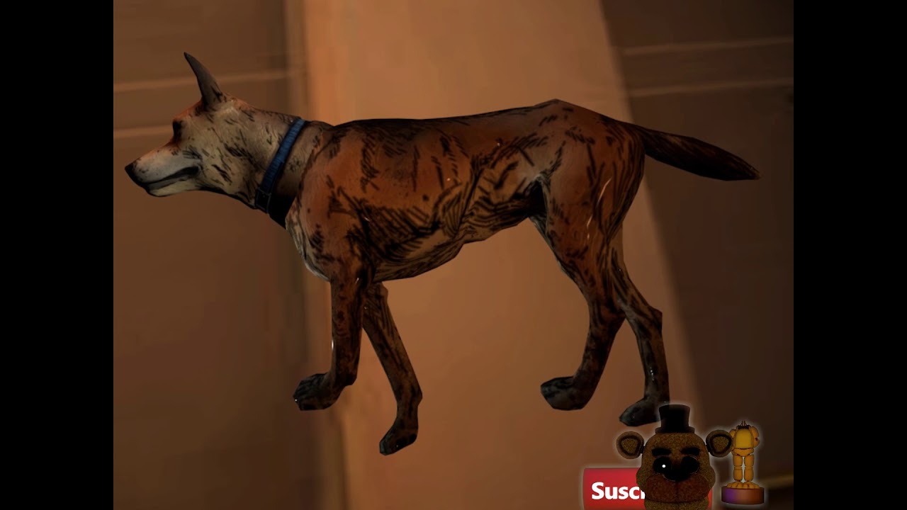 El Perro Waton - YouTube