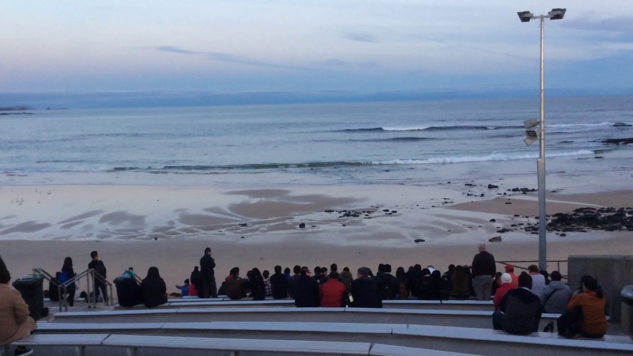 Penguin Parade Phillip Island Victoria Australia - YouTube