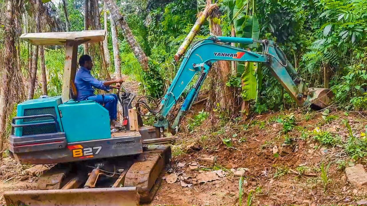 Fastest Way To Clear The Woods - All Stages Of Land Clearing With Mini ...