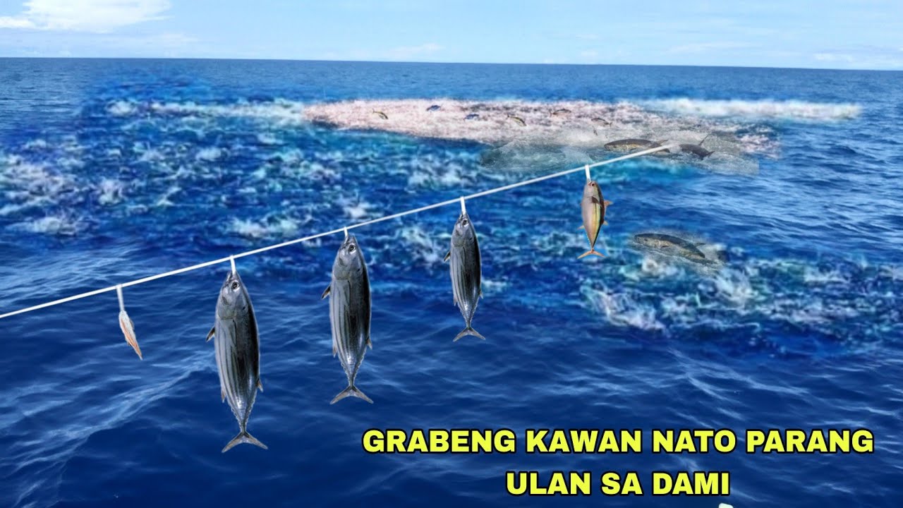 parang ulan Ang kawan na Ito dito pala Ang lungga nila - YouTube