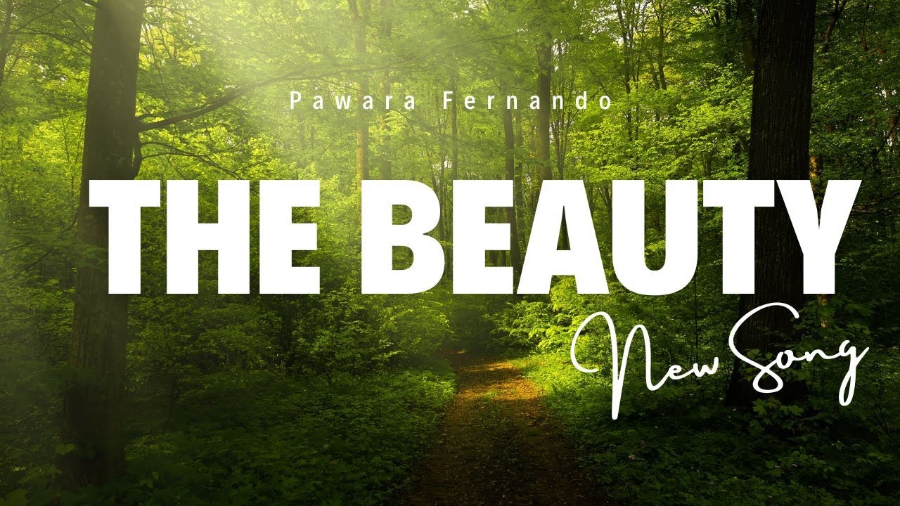 The Beauty || New English Song || Official Music Video #music @song ...