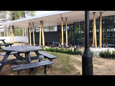 Fleet Services - M3 - Forest at a service station? - YouTube