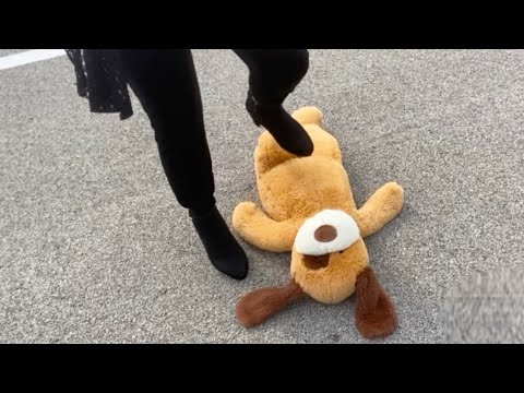 trample teddy bear wearing heels, destroy bear 