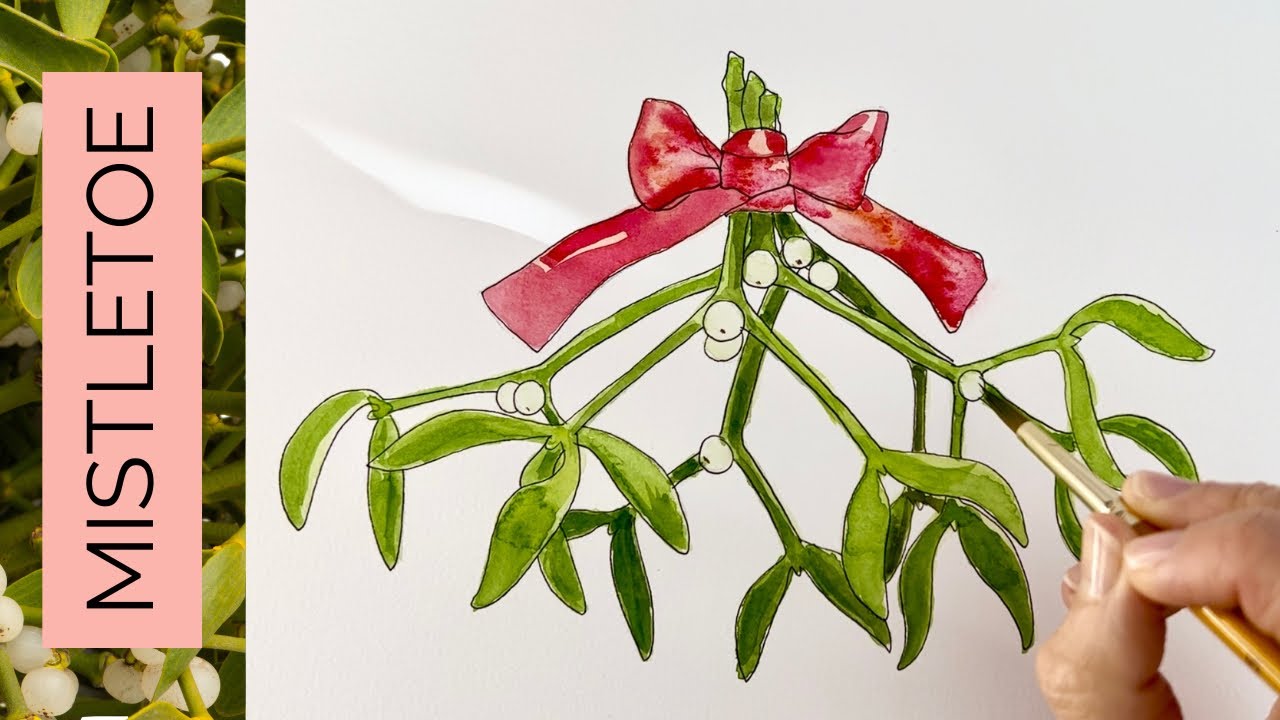 I painted this sprig of MISTLETOE but had no idea what the name meant ...