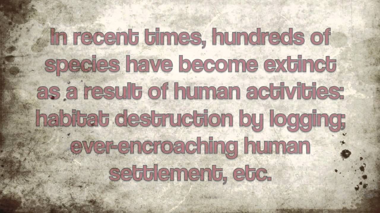 Animal Abuse PSA - YouTube