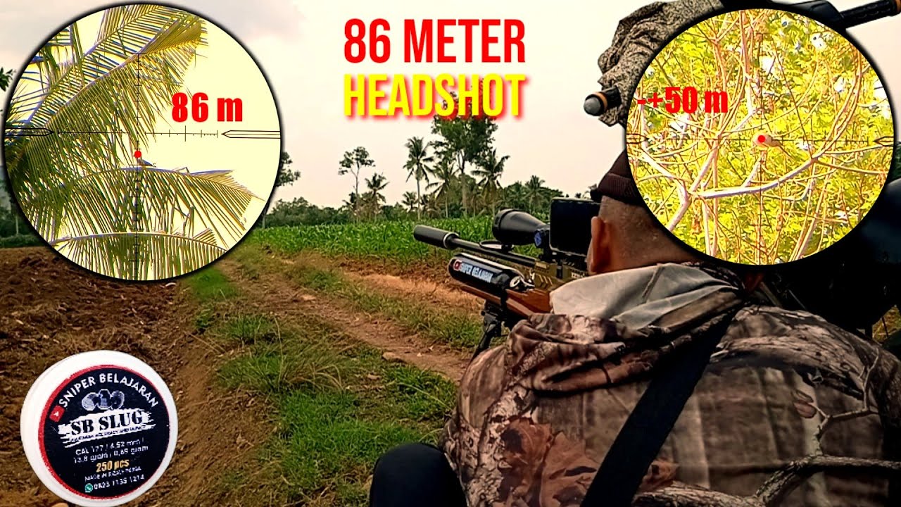 tekukur jarak 86 meter headshot - YouTube