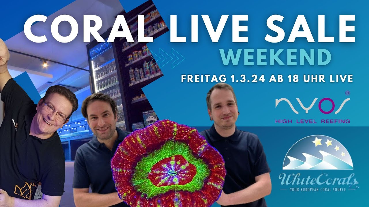 💦 Coral Live Sale WhiteWeekend 💦 Live aus dem White Corals Studio 💦Tag ...