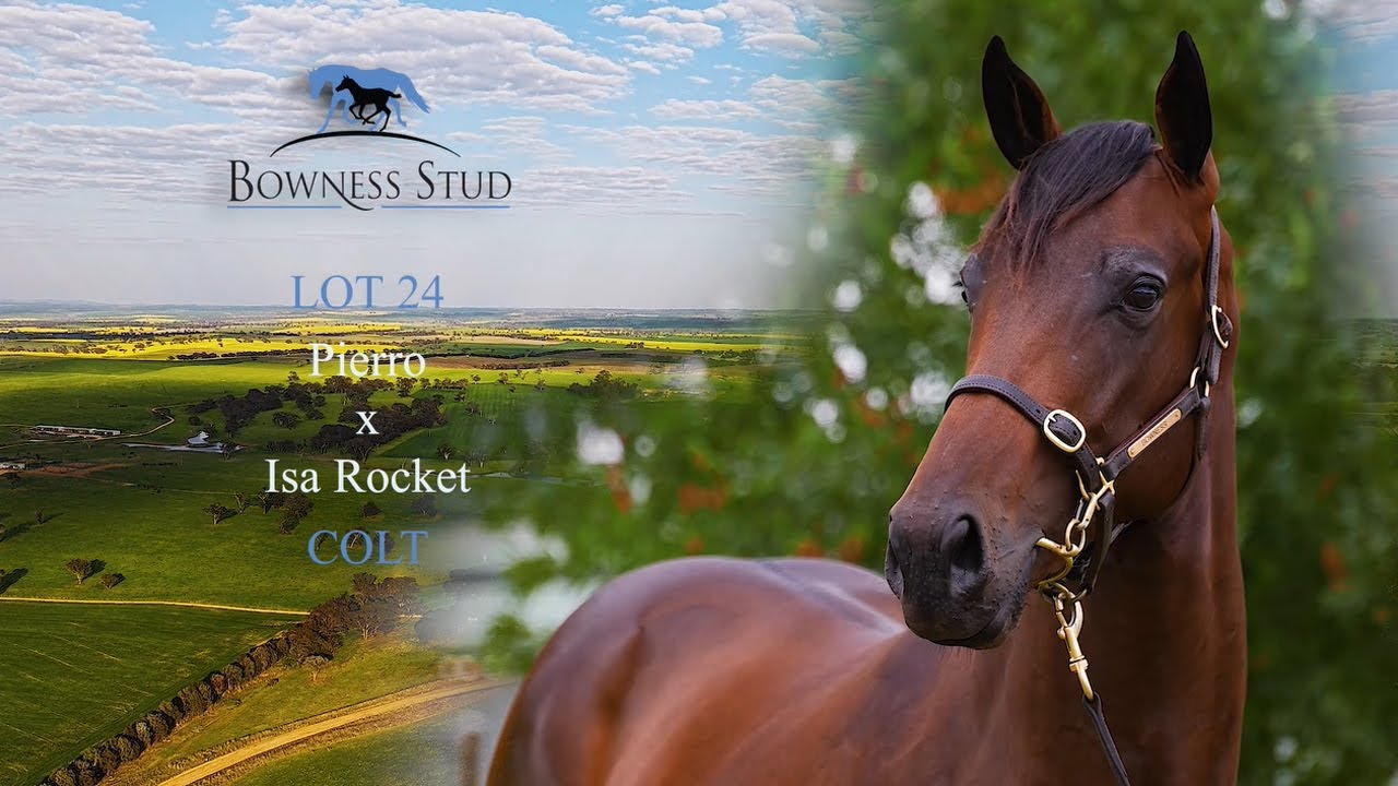 Lot 24: Pierro x Isa Rocket colt - YouTube