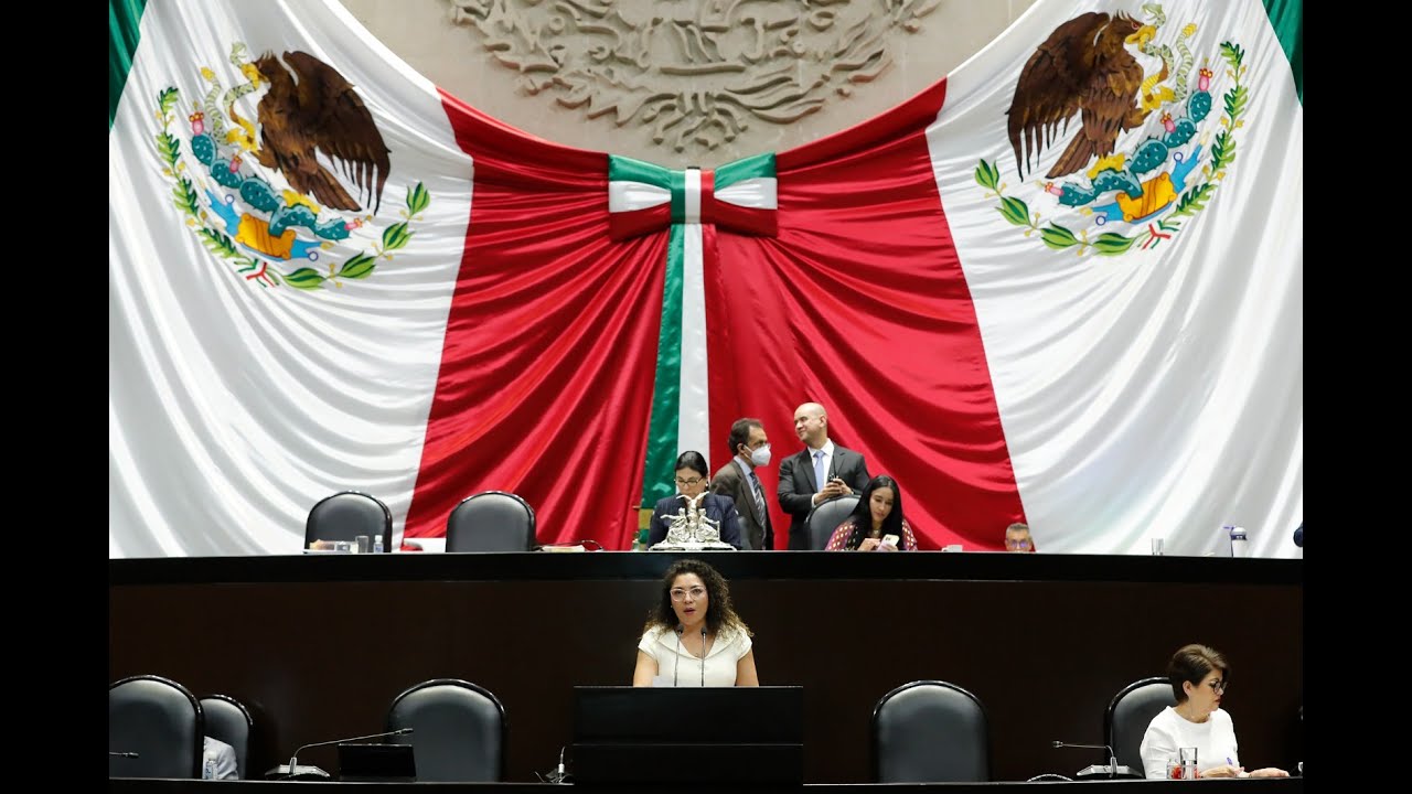 Dip. Sofía Gómez Cambrón (PRI) / Presenta reserva - YouTube