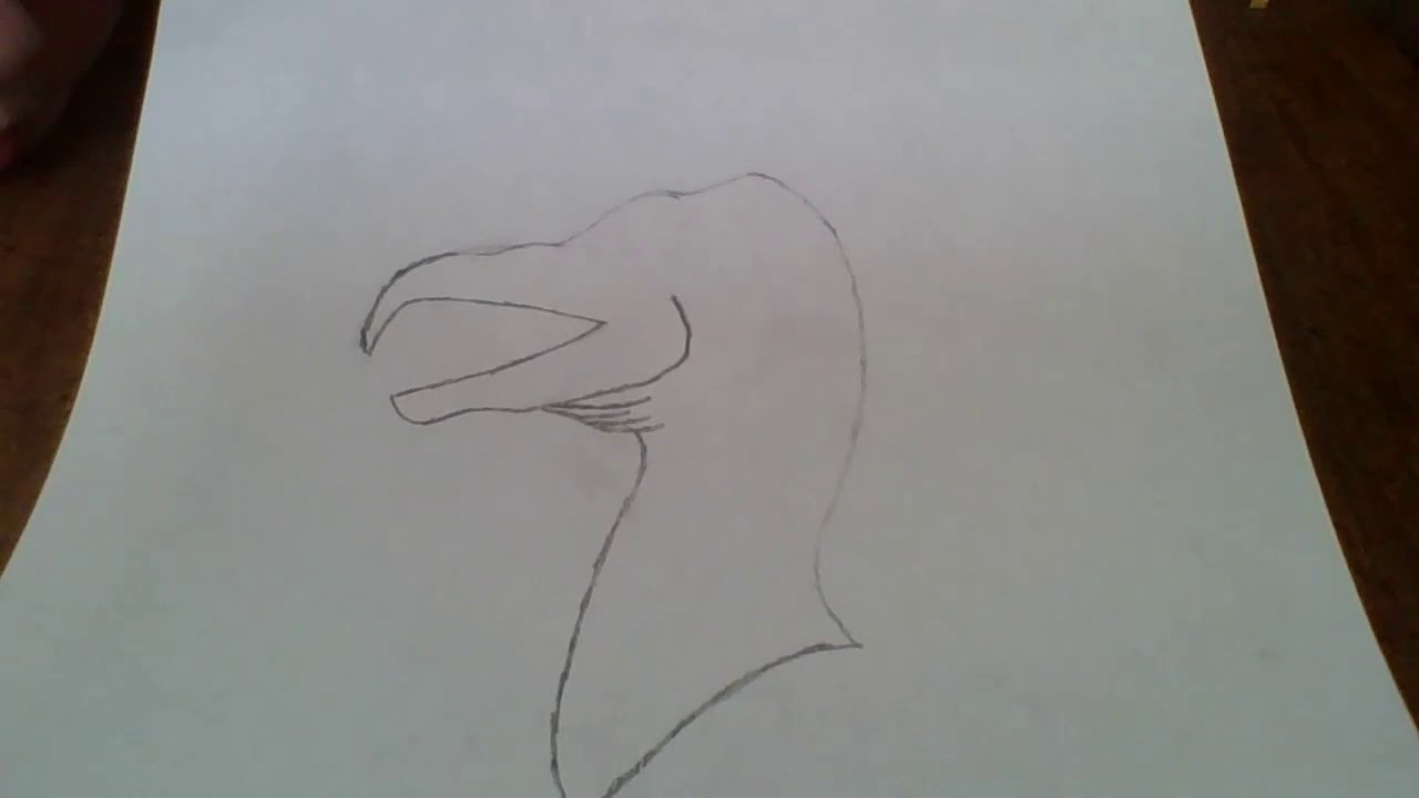 wings of fire Darkstalker drawing lesson #1 - YouTube