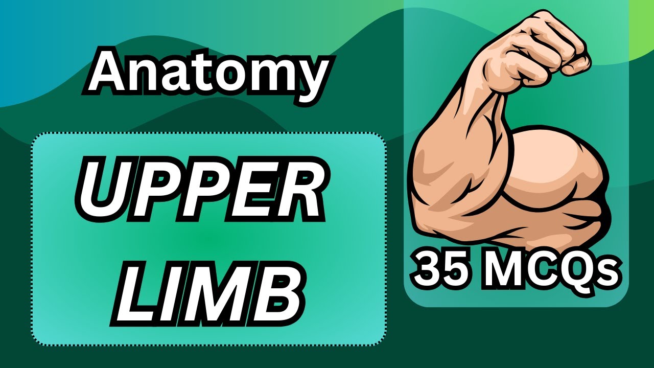 UPPER LIMB Anatomy - Exam Preparation - MCQs with answers - YouTube